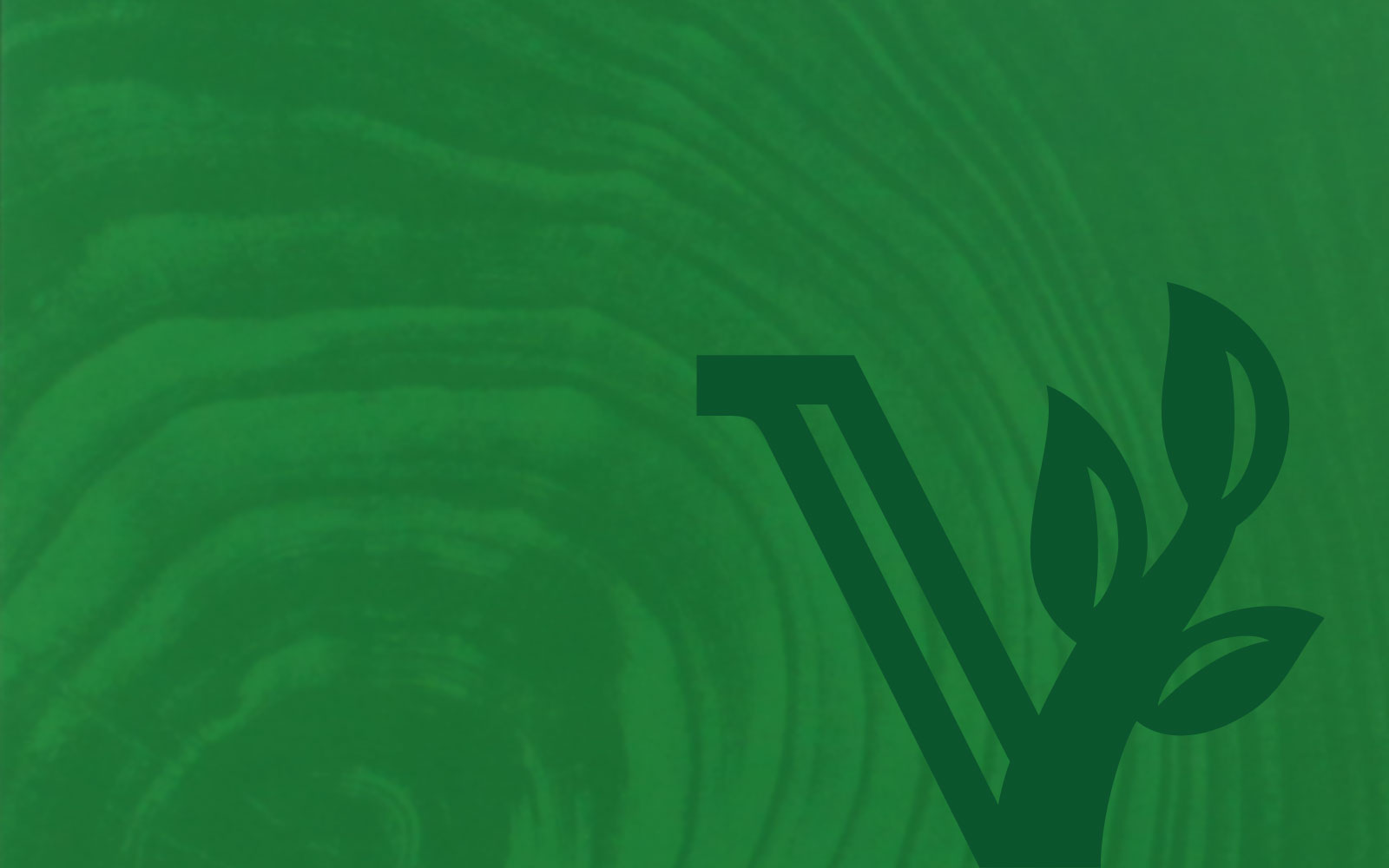 Valley School of Ligonier | Wall-to-Wall Studios